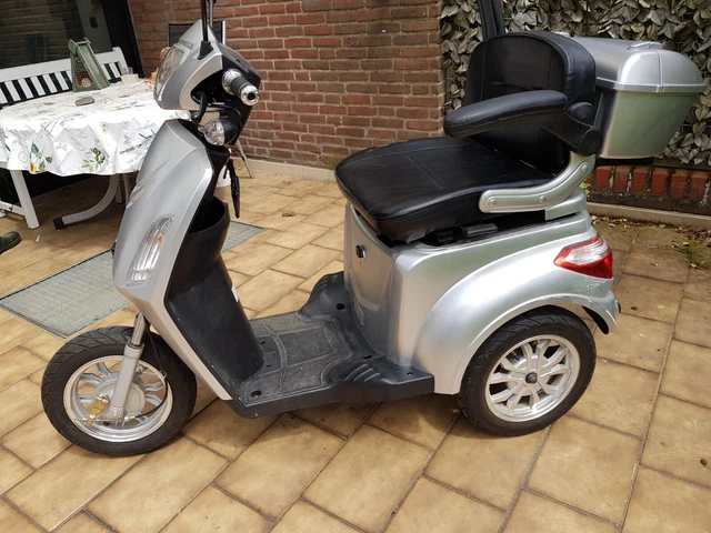 ELEKTRO-MOBIL 3-RAD, EBILO ET1000, silber, neue Batterien, mit Zubehör ...