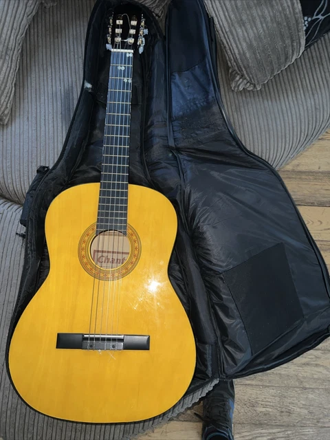 6 STRING ACOUSTIC Guitar By Chantry Model 2460 with case £35.00 ...