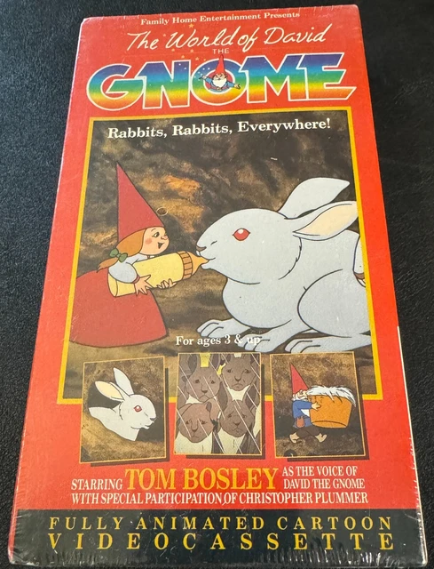 THE WORLD OF David the Gnome - Rabbits, Rabbits, Everywhere! (VHS, 1992 ...