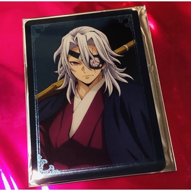 DEMON SLAYER: KIMETSU no Yaiba: Infinity Castle Edition Foil-Stamped ...