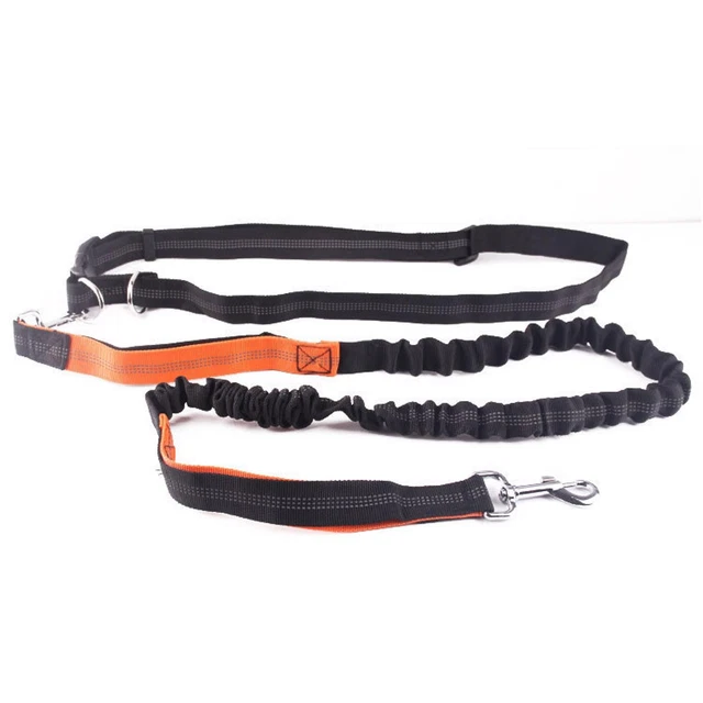 DOG EXPLOSION-PROOF ELASTIC Safety Belt Pet Running Leash Dog Traction ...