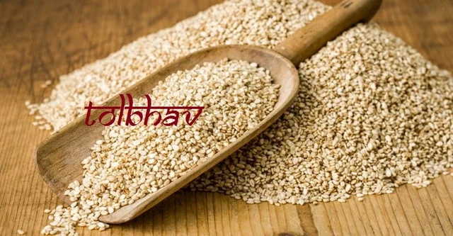 100% PURE SESAME White / Til Natural Spice Premium Quality from India ...