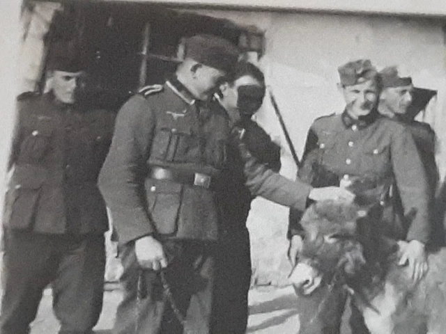 ORIGINAL SELTENES FOTO Deutsche Soldaten mit Esel und Einwohner in Bulgarien EUR 9,99 - PicClick DE