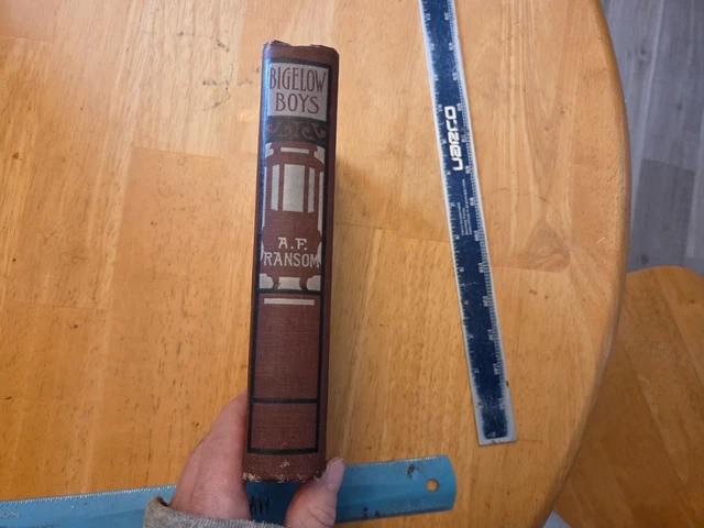 BIGELOW BOYS BY A. F. Ransom - 1907 Saalfield Hardcover £5.94 - PicClick UK