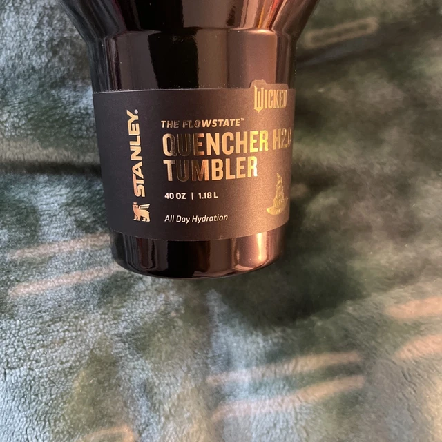 STANLEY X WICKED 40 oz FlowState Elphaba Green Tumbler Cup 2025 IN HAND ...