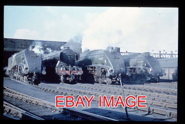 ORIGINAL 35MM SLIDE LNER LOCOS 60003 60004 60032 AND 60030 £3.50 ...