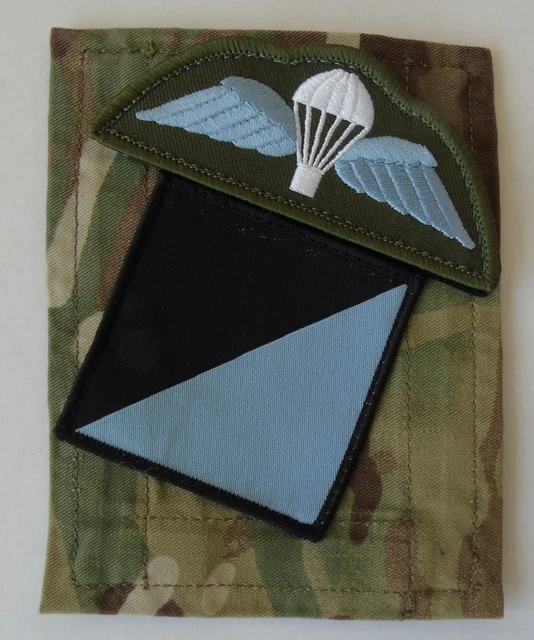 BRITISH ARMY 8 Parachute Field Company REME MTP Blanking Panel DZ Flash ...