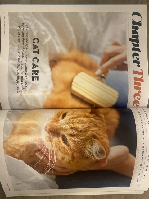 PAW PRINT SPECIAL Edition February 2026 Magazine Cats Why we love them ...