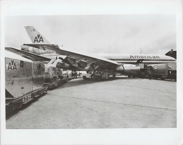 GRANDE PHOTO VINTAGE American Airlines Douglas Dc-10 N103Aa Aa EUR 35 ...