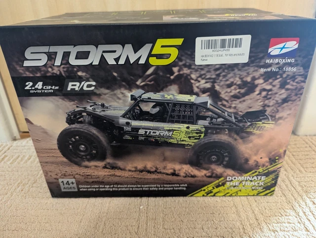 HAIBOXING STORM 5 1/18 4WD Electric RC Buggy 2.4GHz RTR Waterproof ...