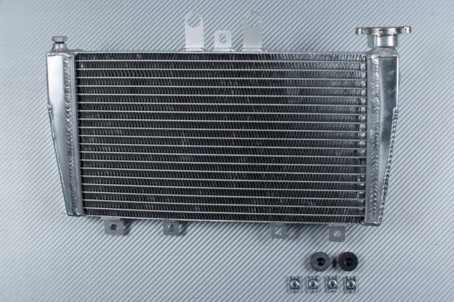 RACING ALUMINIUM WATER Radiator Cooling TRIUMPH SPEED TRIPLE 1050 NJ2 ...