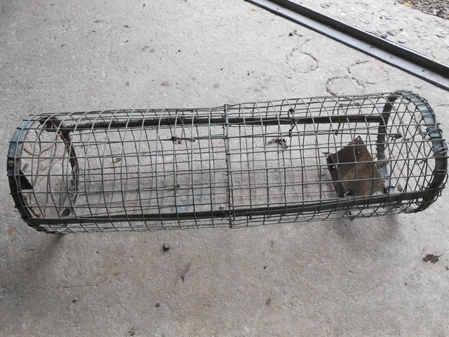 CAGE PIÈGE À animaux fouine belette * nasse - occasion (P) EUR 19,90 ...