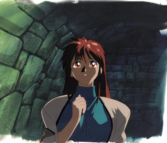 BASTARD OVA ANIME Original Production Cel Animation Painting E-2517 EUR ...