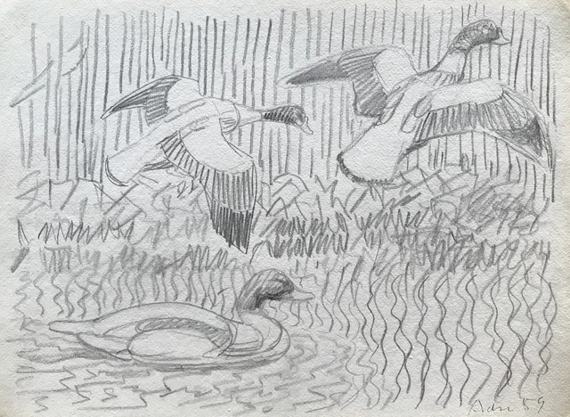 KARL ADSER 1912-1995 canards volants flottants dans l'étang Juncos Lake ...