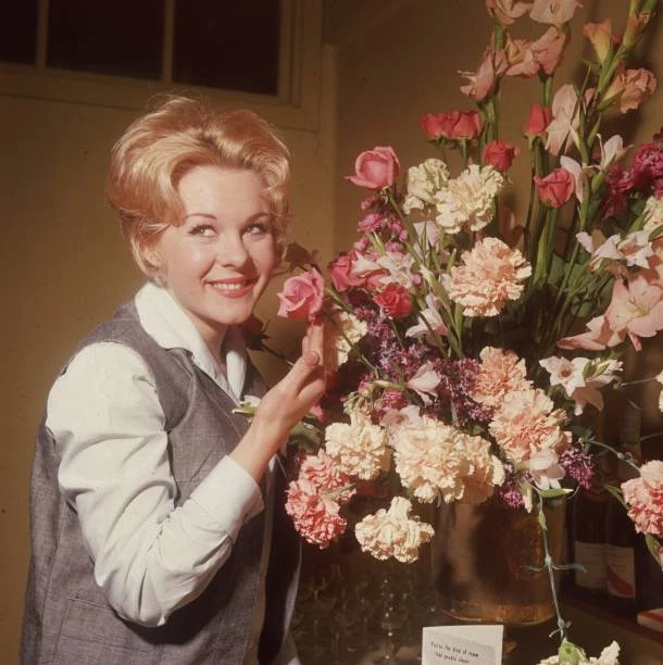 ENGLISH ACTRESS JUNE Ritchie the star of 'A Kind of Loving' wit - 1965 ...