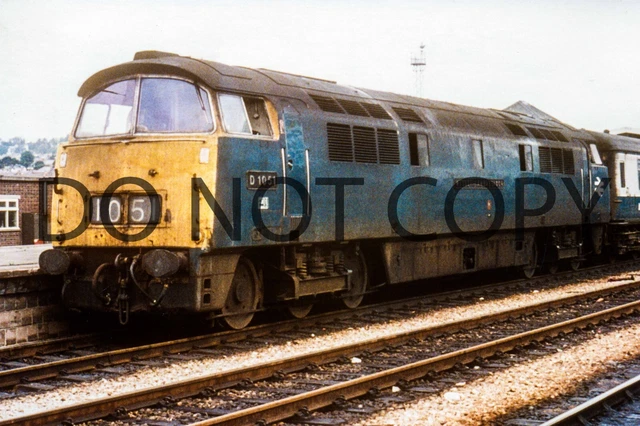 UK DIESEL TRAIN Railway Photograph Of Class 52 Western D1051. Rm52-139 ...
