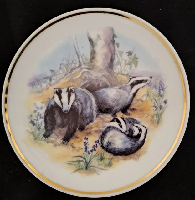WILDLIFE OF BRITAIN Badgers Plate Designed For Reader's Digest, Susan ...