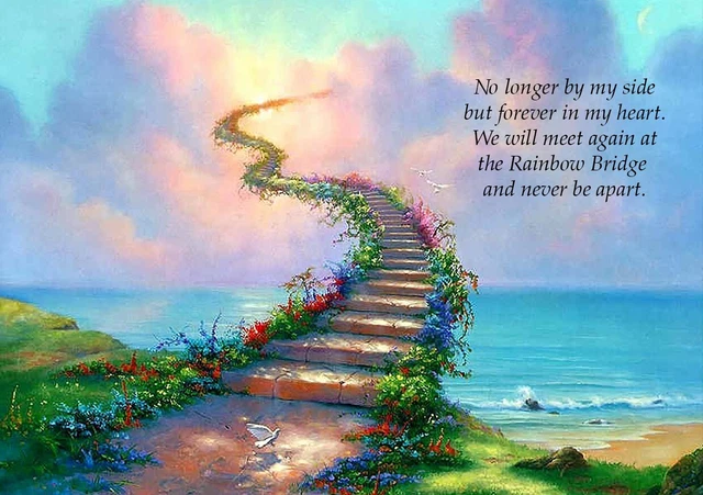 DOG CAT PET Bereavement Rainbow Bridge Sympathy Card (A5) Memorial, RIP ...