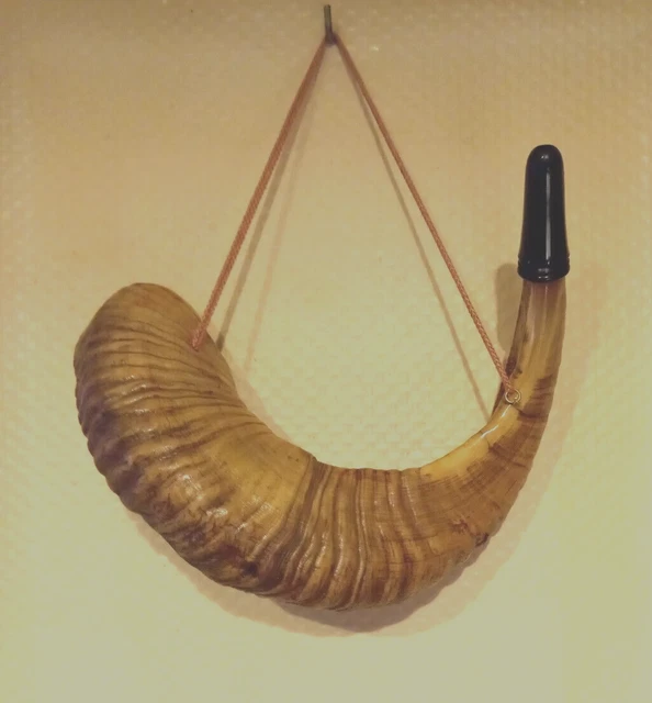 COR DE CHASSE Vintage en Corne de Mouflon Véritable TBE EUR 75,00 ...