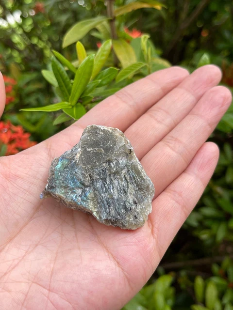 GRADE A++ LABRADORITE Raw Natural Stone, 1"-2" Rough Labradorite ...