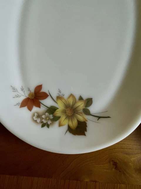 PYREX JAJ AUTUMN Glory Oval Plates Steak Platters Vintage 30 X 23cm x4 ...