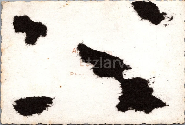 FOTO, LUFTWAFFE, FLUGZEUG Zerstörer Messerschmitt Bf 110 (MJ-81)1029 ...