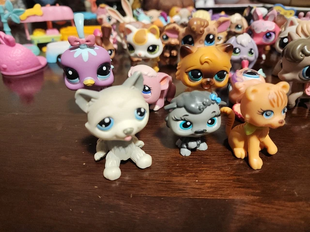 LPS LOT LITTLEST Pet Shop pets. All Authentic, 2 random pcs (1bratz ...