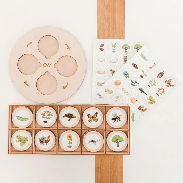 WOODEN MONTESSORI LIFE Cycle Tray Educational Flash Cards Matching Game ...