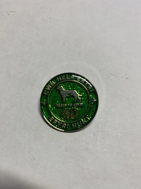 CWN HELA ERYRI Eryri Hunt Badge £5.50 - PicClick UK