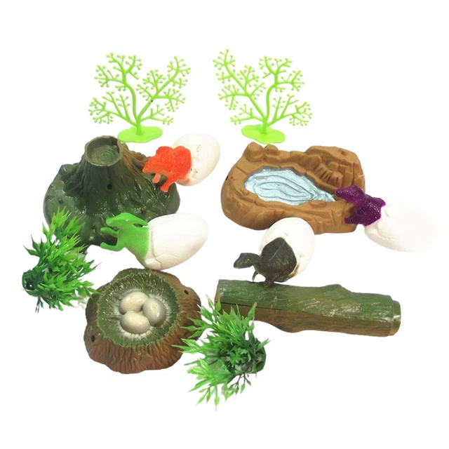 Jouets Doeufs Danimaux Incubation Croissante Des Oeufs De Dinosaures
