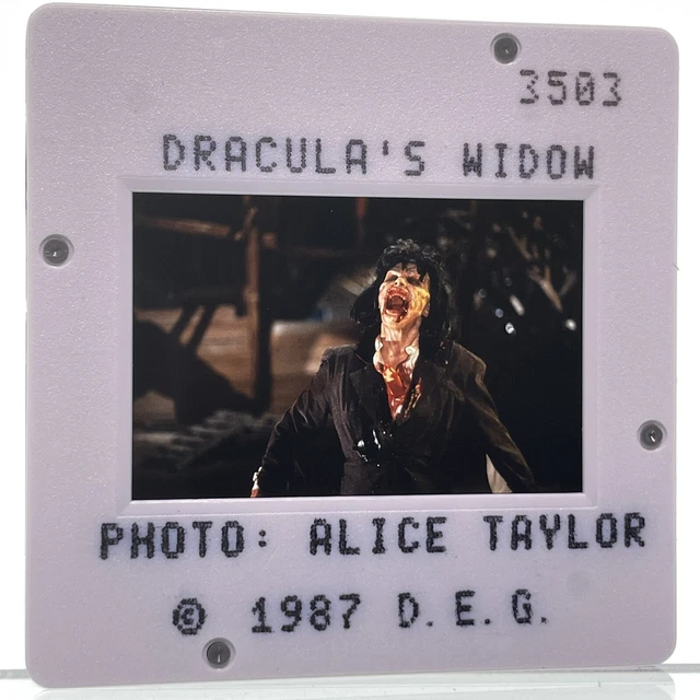 35MM SLIDE DRACULA'S Widow 80s Horror Movie Publicity Sylvia Kristel ...
