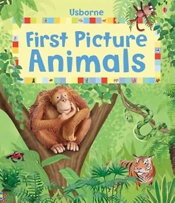 FIRST PICTURE ANIMALS (Usborne First Picture Books), Brooks, Felicity ...