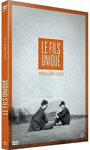 LE FILS UNIQUE (DVD) Lida Choko Himori Shinichi Hayama Masao EUR 16,03 ...