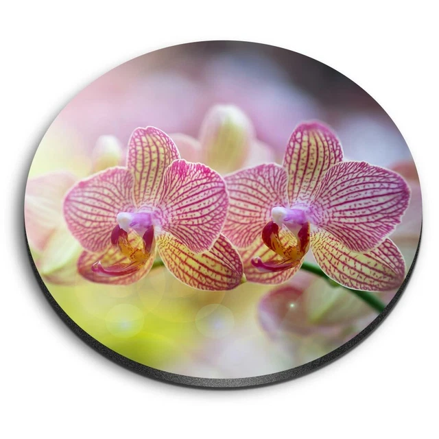 ROUND MDF MAGNETS - Pink Orchid Flowers Plant Flower #16669 EUR 6,88 ...