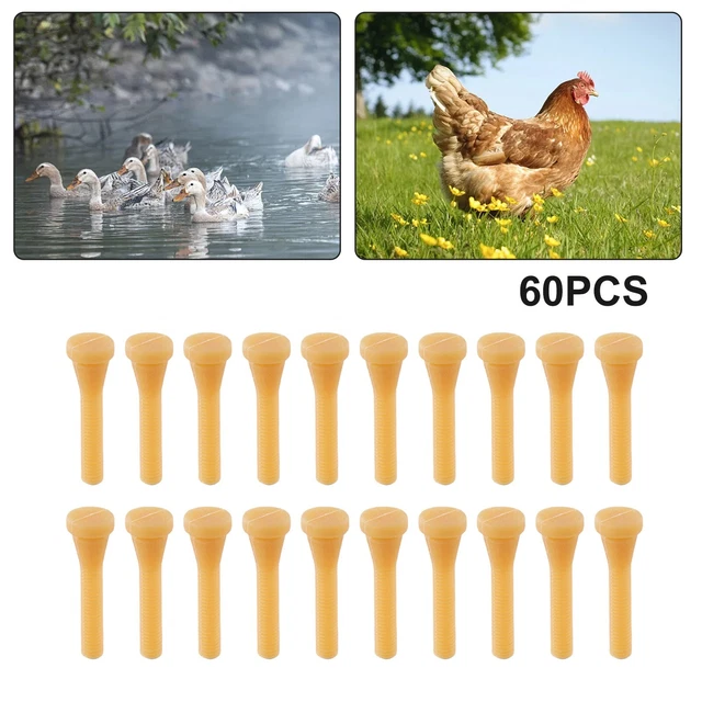 60 DURABLE RUBBER Fingers for Plucking Chicken Ducks and Goose Poultry ...