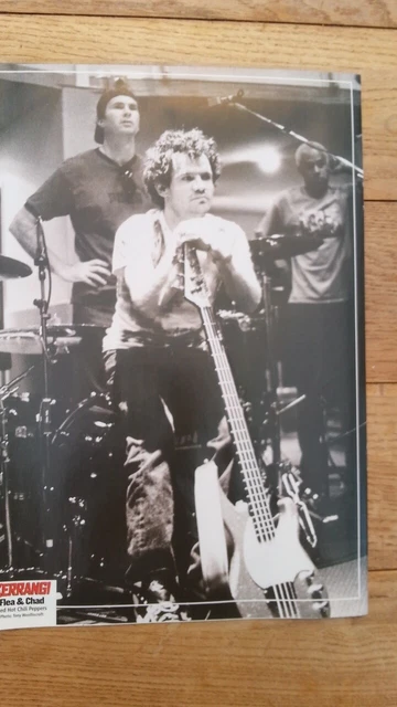 FLEA AND CHAD (RED HOT CHILI PEPPERS) magazine PHOTO/Poster/Clipping ...