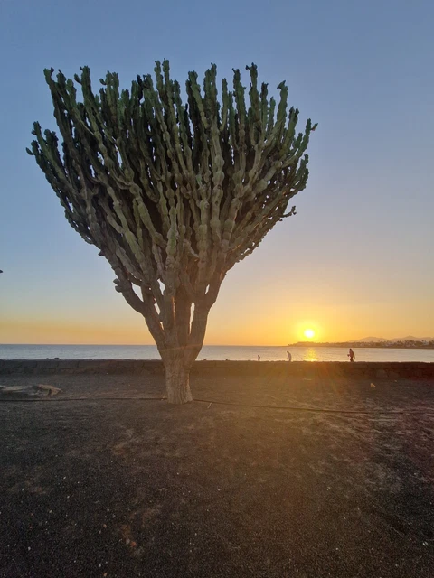 DIGITAL PHOTO PICTURE image virtual postcard sunset sea beach EUR 1,00 ...