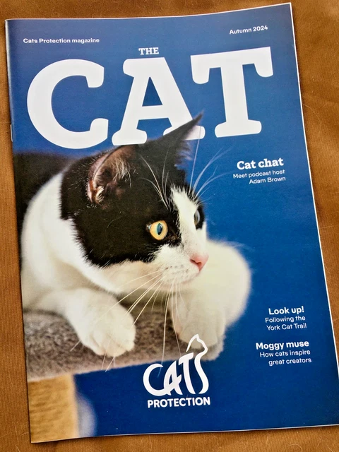 4 UNREAD ISSUES of 2024 'The Cat' magazine from Cats Protection. £4.38 ...