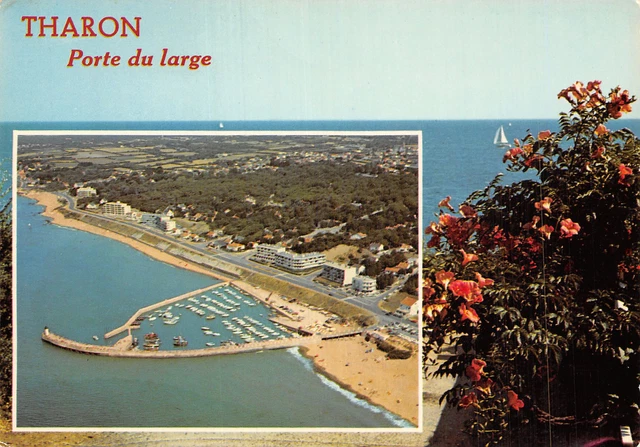 44 THARON SAINT Michel Chef Chef EUR 5,90 - PicClick FR
