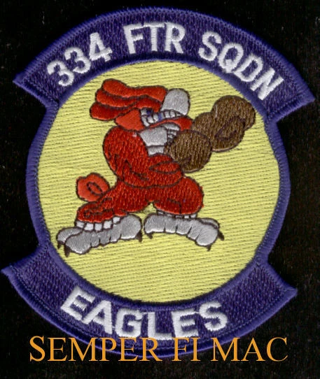 334TH FTR FFIGHTER SQUADRON AUFNÄHER F-15 US LUFTWAFFE PIN UP Seymour ...