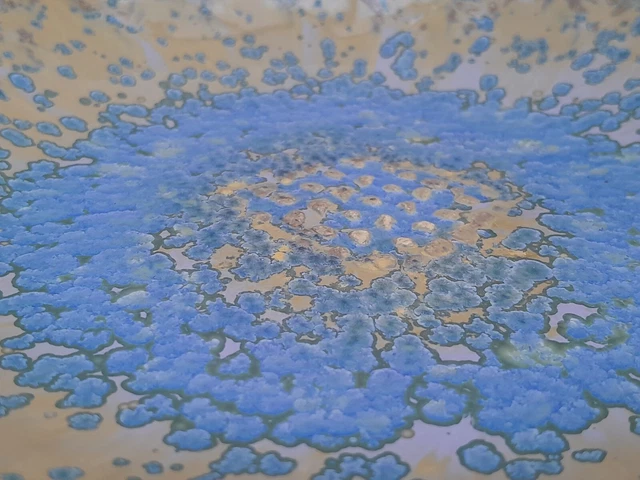 PLAT OU ASSIETTE creuse Ceramique d'art Signé Durtal SM 2077 Bords ...