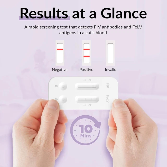 GETTESTED VIRUS COMBO FIV & FeLV Test for Cats, At-Home, Rapid Antigen ...