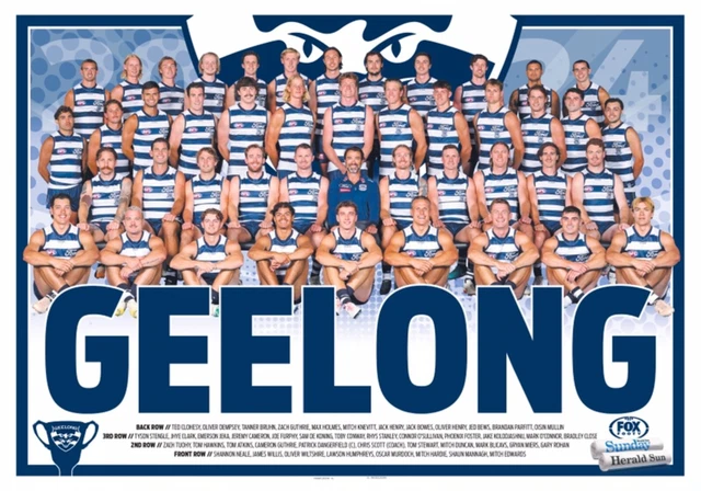 2024 Geelong Cats Afl Football Team Poster Big 420mm Bargain Eur 11
