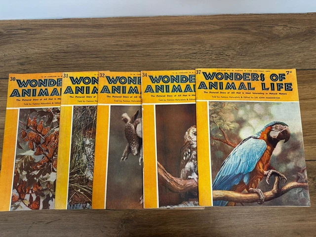 VINTAGE/COLLECTABLES WONDERS OF Animal Life Magazine from 1936 . £11.11 ...