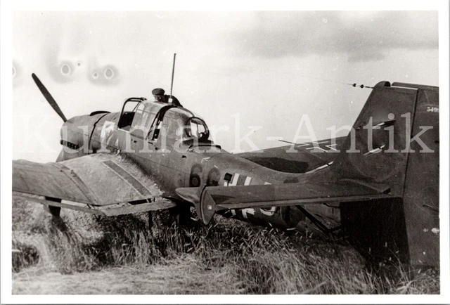 Q423 FOTO WEHRMACHT Archiv Repro Luftwaffe Flugzeug Ju87 Stuka Emblem ...