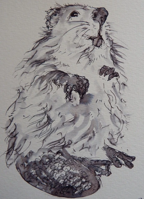 ORIGINAL PEN & ink drawing of a Beaver brown purple tint approx. A5 £29 ...