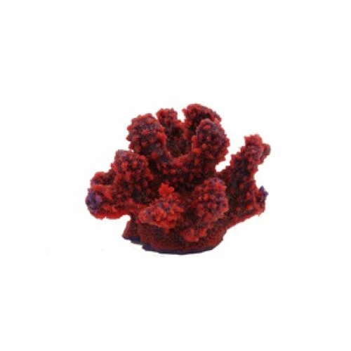 ROSEWOOD BLUE RIBBON Resin Coral Aquarium Fish Tank Ornament £6.00 ...