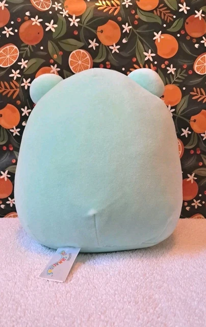 SQUISHMALLOW FROG SOFT Plush Cuddly Toy Dear the poison dart frog ...