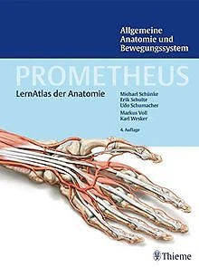 PROMETHEUS ALLGEMEINE ANATOMIE und Bewegungssystem: LernAt... | Livre ...