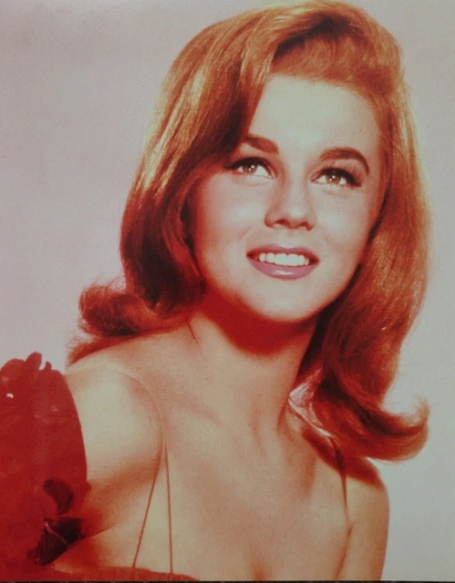RARE VINTAGE COLOR 8x10 Photo ANN-MARGRET Stunning Sexy Swedish Actress ... RARE VINTAGE COLOR 8x10 Photo ANN-MARGRET Stunning Sexy Swedish Actress ...